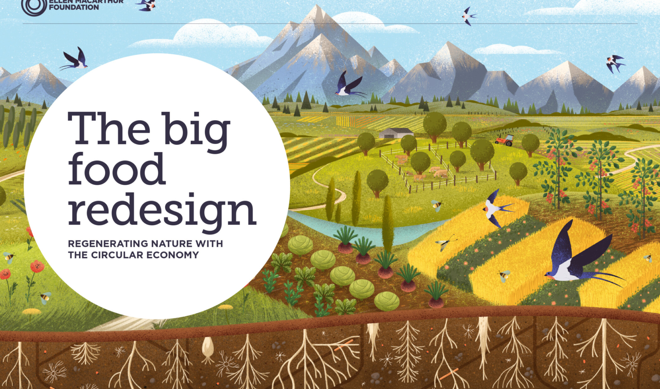 The big food redesign: Regenerating nature… | Nordic Circular Hotspot